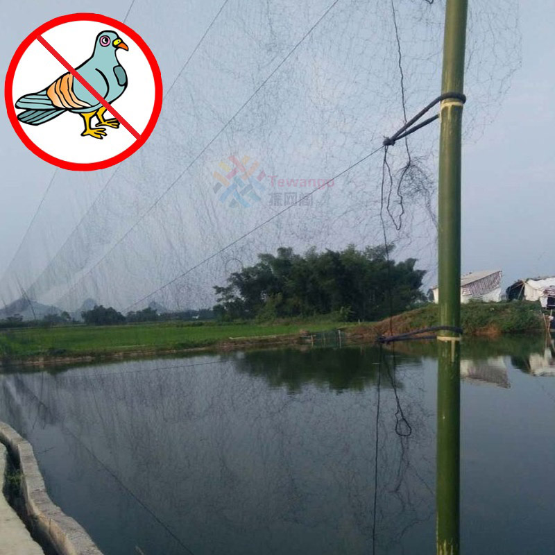 Black Anti Bird Net Mesh For Fruit Crop Plant Tree Bird-Preventing ...