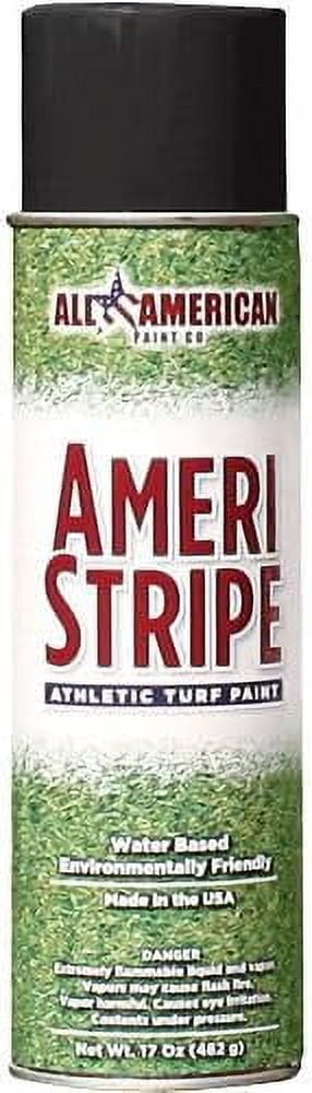 Black Athletic Field Paint - (12 Cans) 18 oz of Paint per Can - Walmart.com