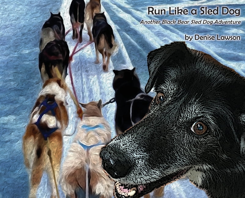 Black Bear Sled Dog Adventures Run Like a Sled Dog: Another Black Bear ...