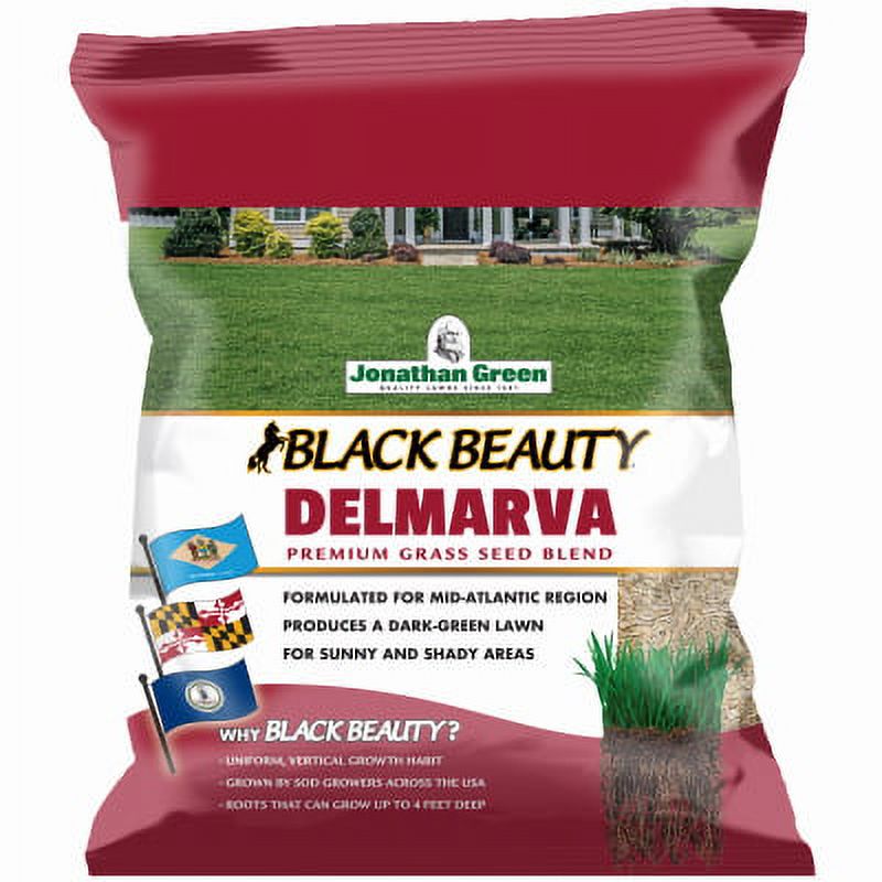 Black Beauty 3 lb. Delmarva Mix Grass Seed. Specially Formulated Tal ...