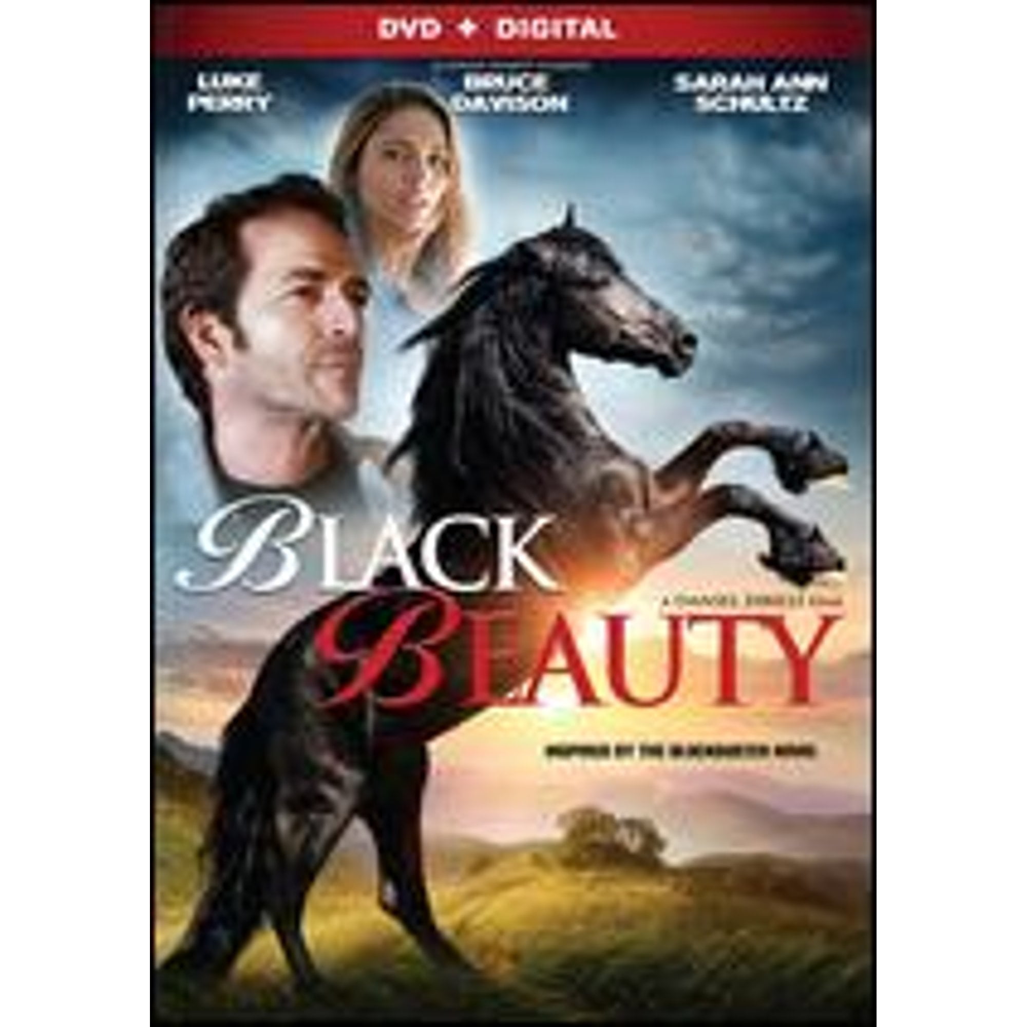 Pre-Owned Black Beauty (DVD 0031398224587) - Walmart.com