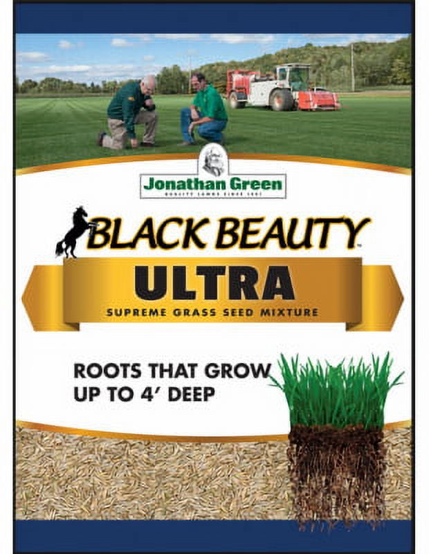 Black Beauty LB 400 SQFT Coverage Ultra Grass Seed Same Sod Quality 3 ...