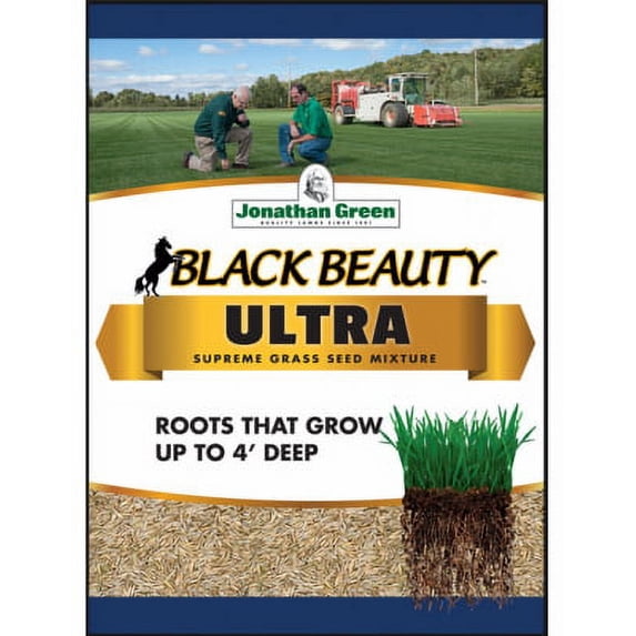 Black Beauty LB 400 SQFT Coverage Ultra Grass Seed Same Sod Quality 3 ...