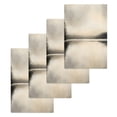 Black Beige Lake Kitchen Dish Towels for Drying Dishes Set of 4 ...