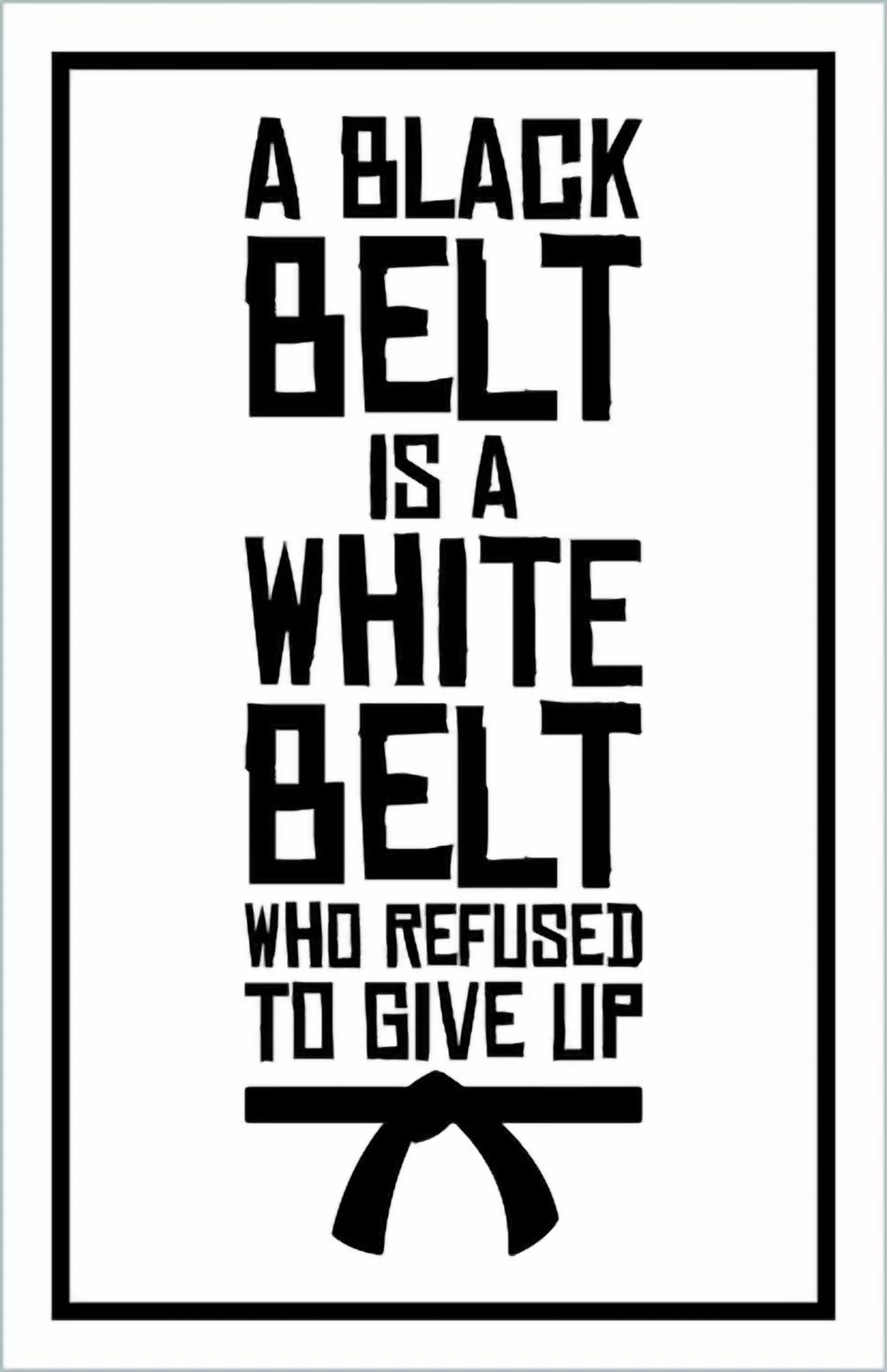 Black Belt Poster - Jiu Jitsu Taekwondo Karate - Martial Arts - Walmart.com