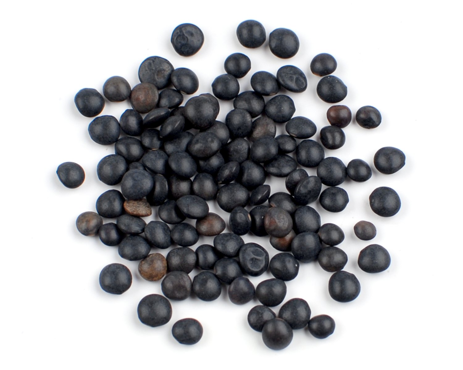 Black Beluga¨ Lentils, 10 Pound Box - Walmart.com