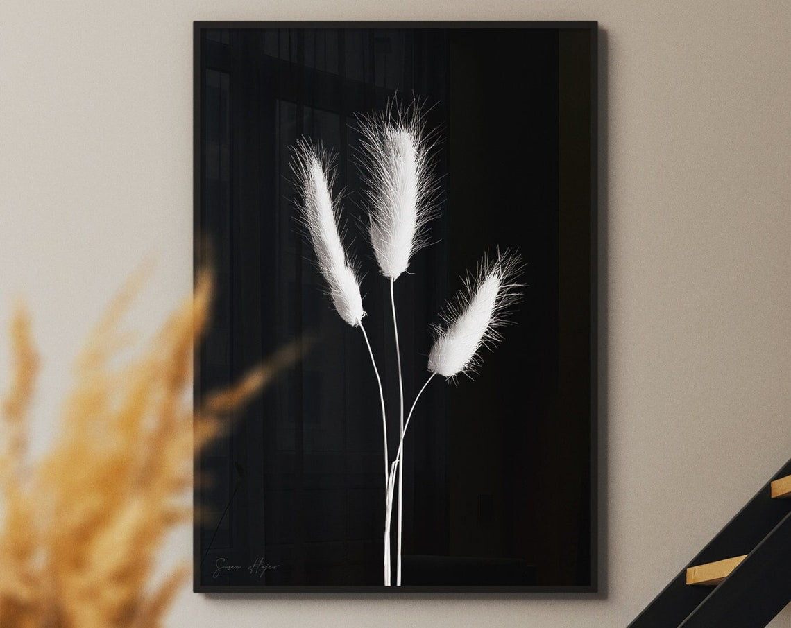 Black Botanical Print White Rustic "Bunny Tails" Dried Wild Flowers On ...