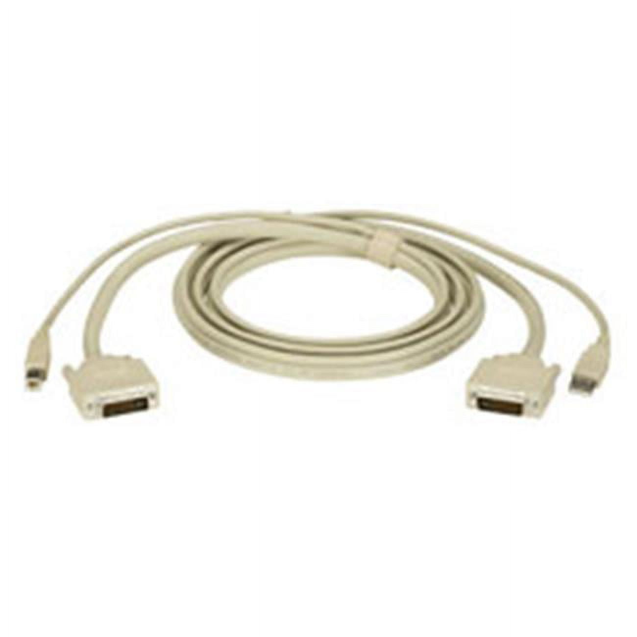 Black Box Digital Video Interface Cable - DVI Video, USB - DVI Video ...