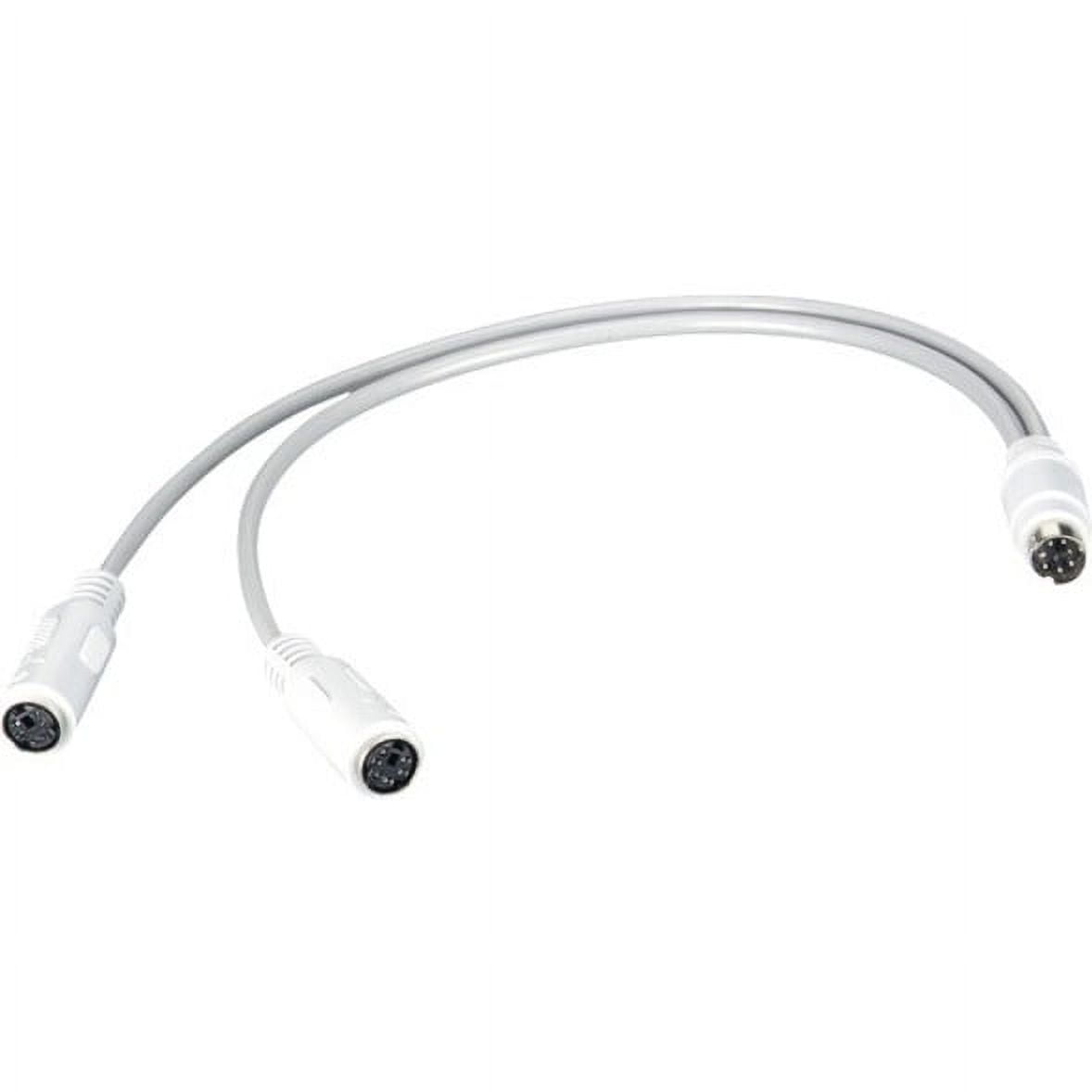 Black Box Laptop Y Cable - Walmart.com