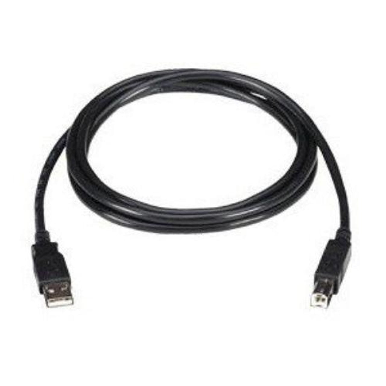 Black Box USB 2.0 A to Mini B Cable - Type A Male USB - Mini Type B ...