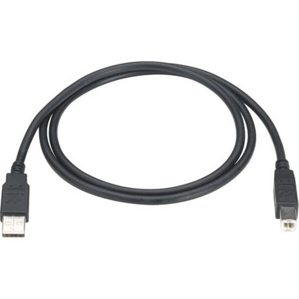 Black Box USB05-0003 USB 2.0 Cable - Type A Male to Type B Male, Black ...