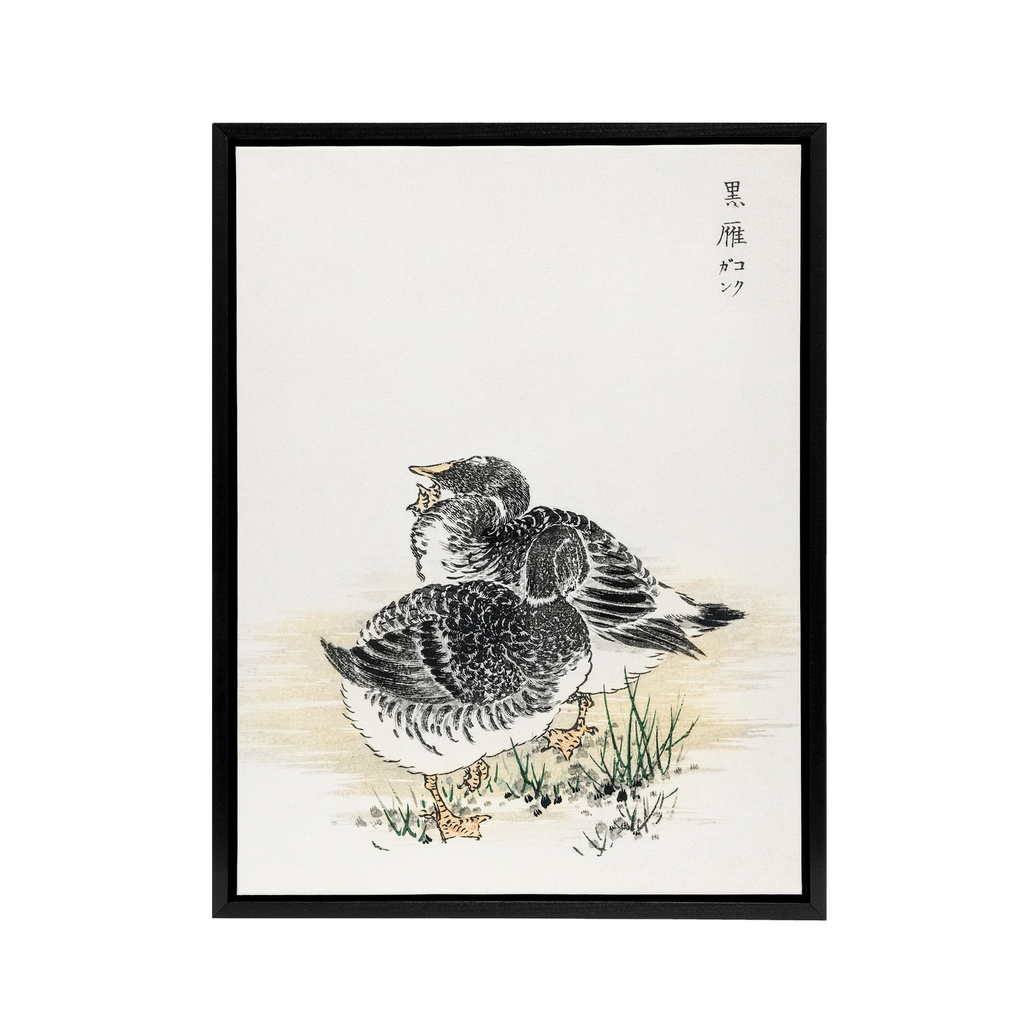 Black Brant Geese Pictorial Birds Framed Canvas Wall Art Print Kashu ...