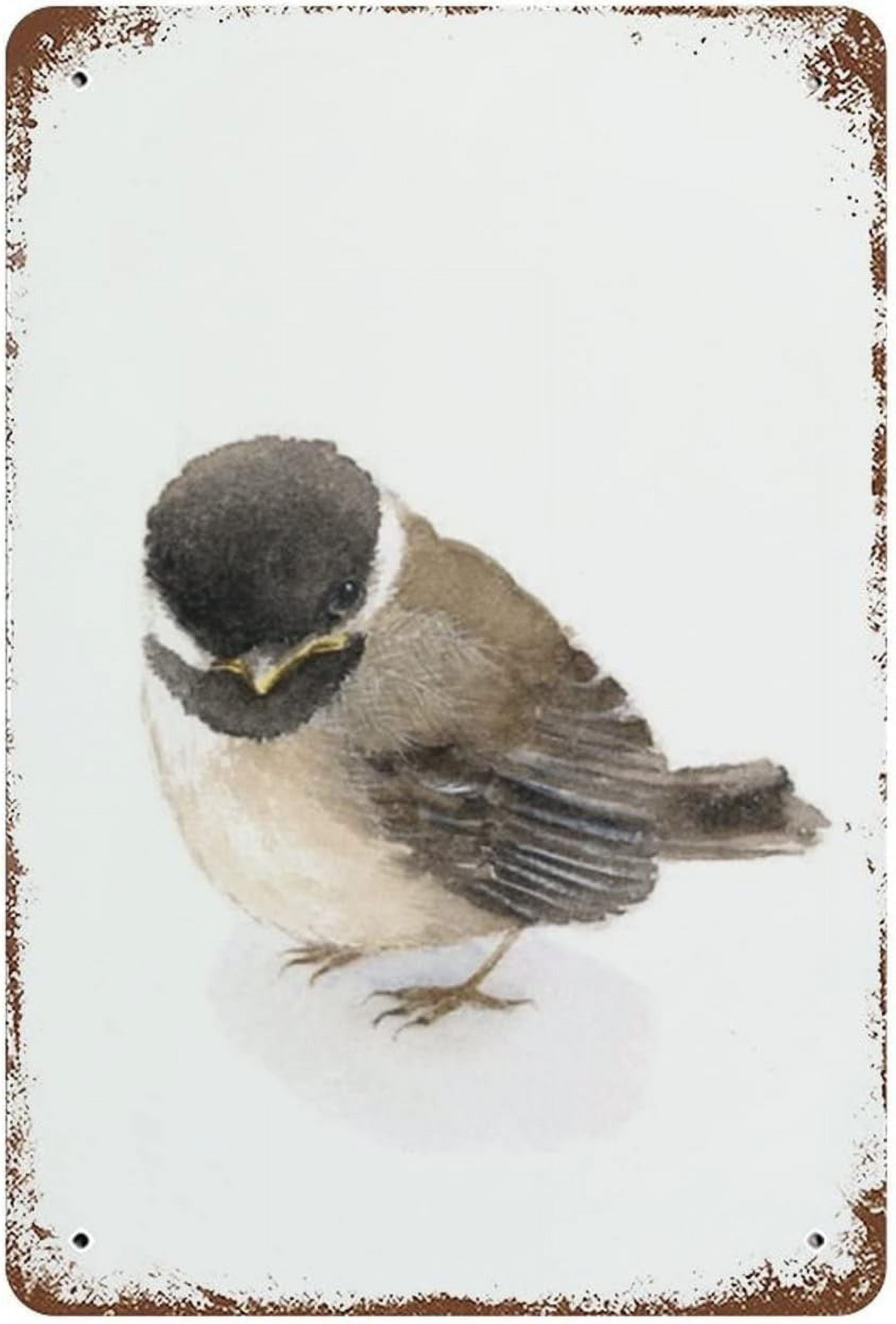 Black Capped Chickadee Bird Signs- Exquisite Wall Art Decor ...