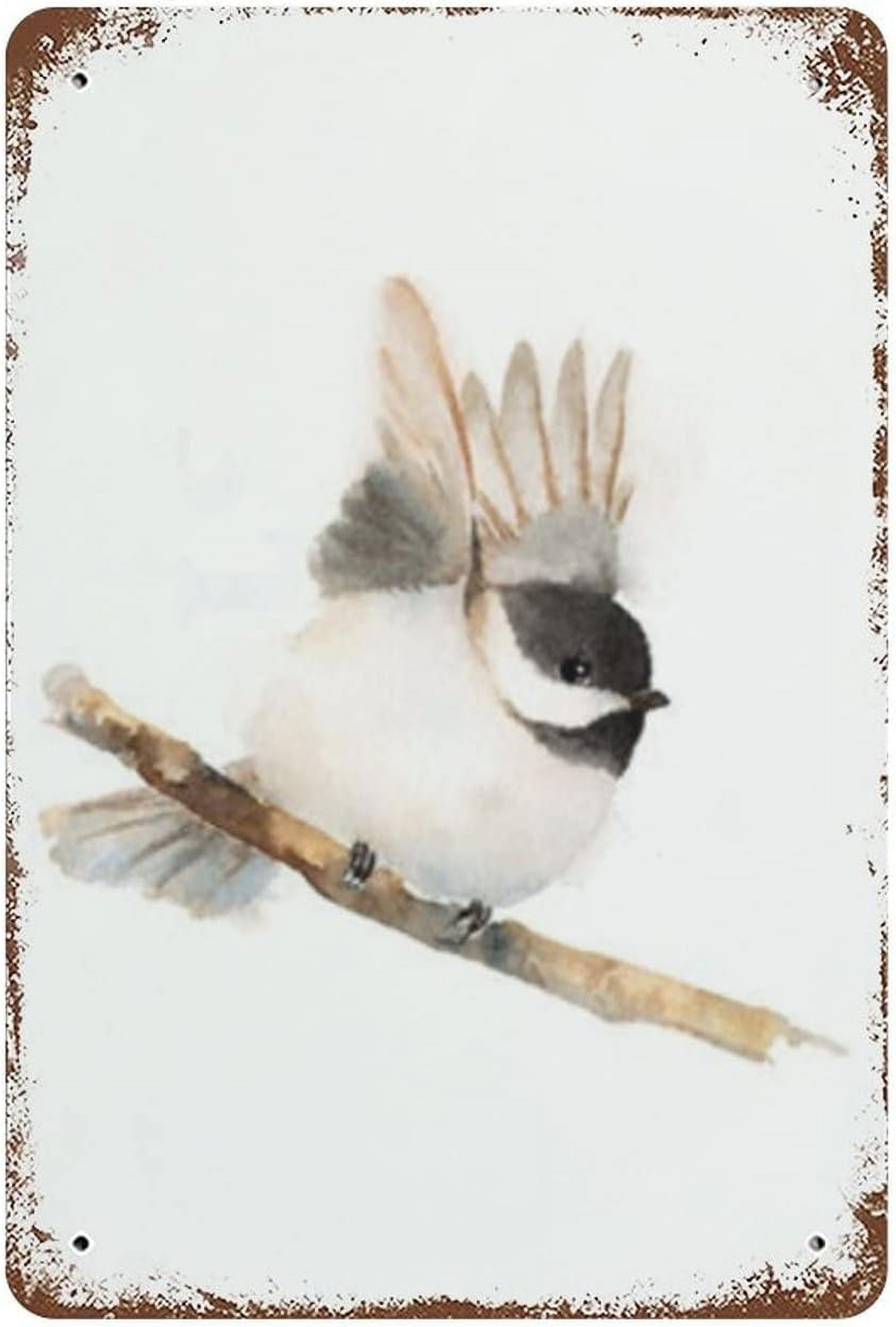 Black Capped Chickadee Bird Vintage Metal Plaque Sign Retro Poster ...