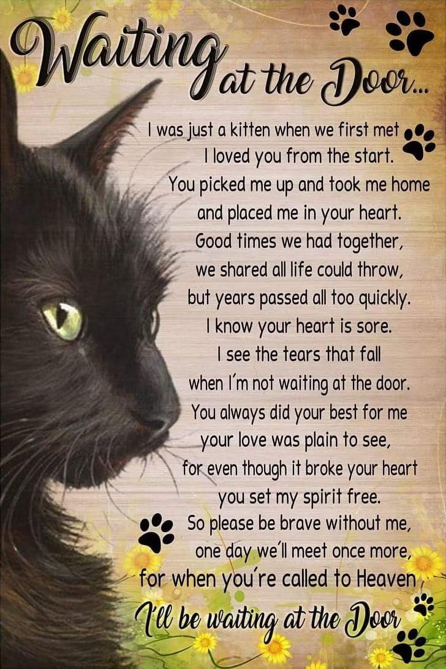 Black Cat 5D Diamond Painting Kits for Adults & Beginner Full Drill ...