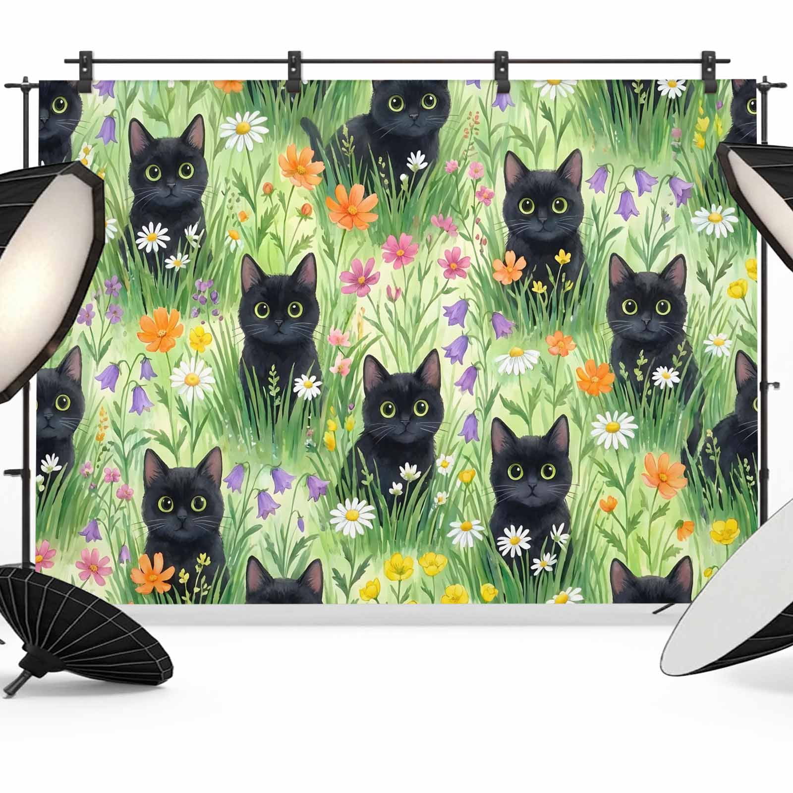 Black Cat Backdrop for Photography, Orange Purple Yellow Pink Flower ...