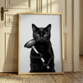 Black Cat Bathroom Black White Animal Quirky Guest Bath Cat Plunger ...