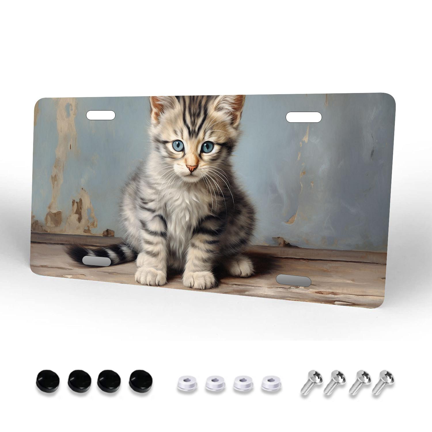 Black Cat Cute American Cat Kitten Animal Glowing Eyes Exquisite Plate ...