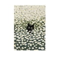 Black Cat Daisy Meadow Floral Garden Flag Double Sided 12 x 18/28 x 40 ...