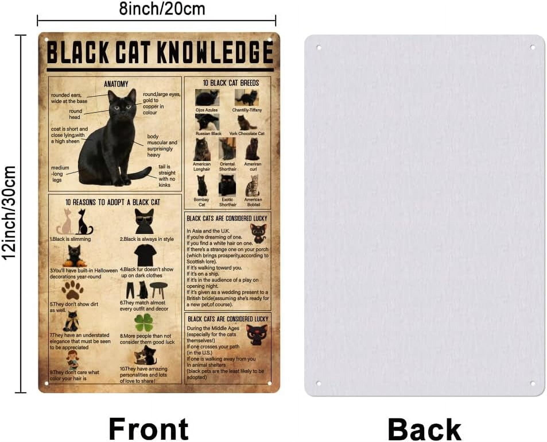 Black Cat Knowledge Tin Sign Black Cats Signs Vintage Metal Tin Signs ...