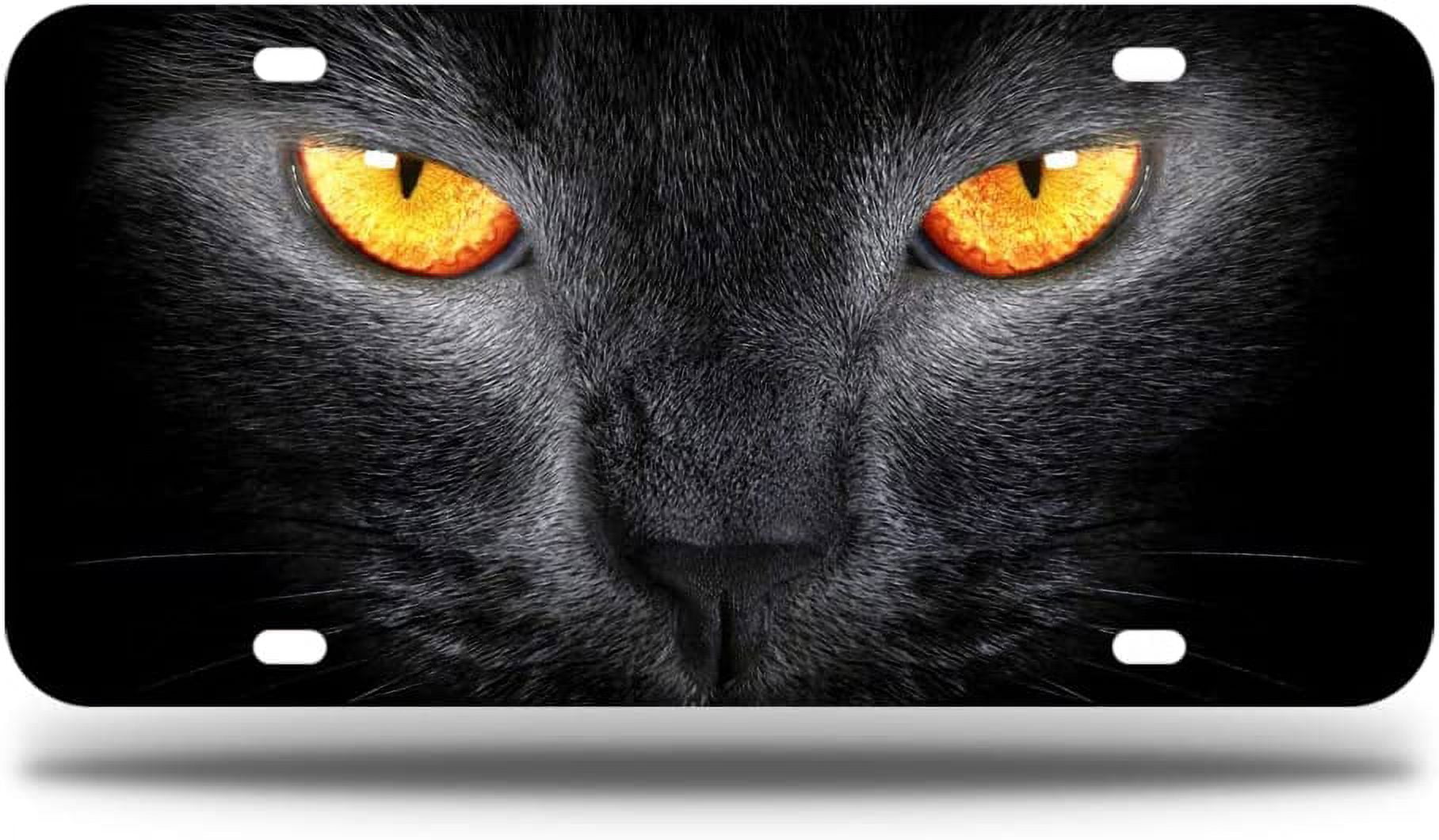 Black Cat License Plate,Car Front License Plates With 4 Holes, Metal ...