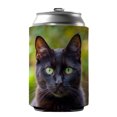 Black Cat Photo Drink Beer Soda Insulated Sleeve Holder Can Cooler ...
