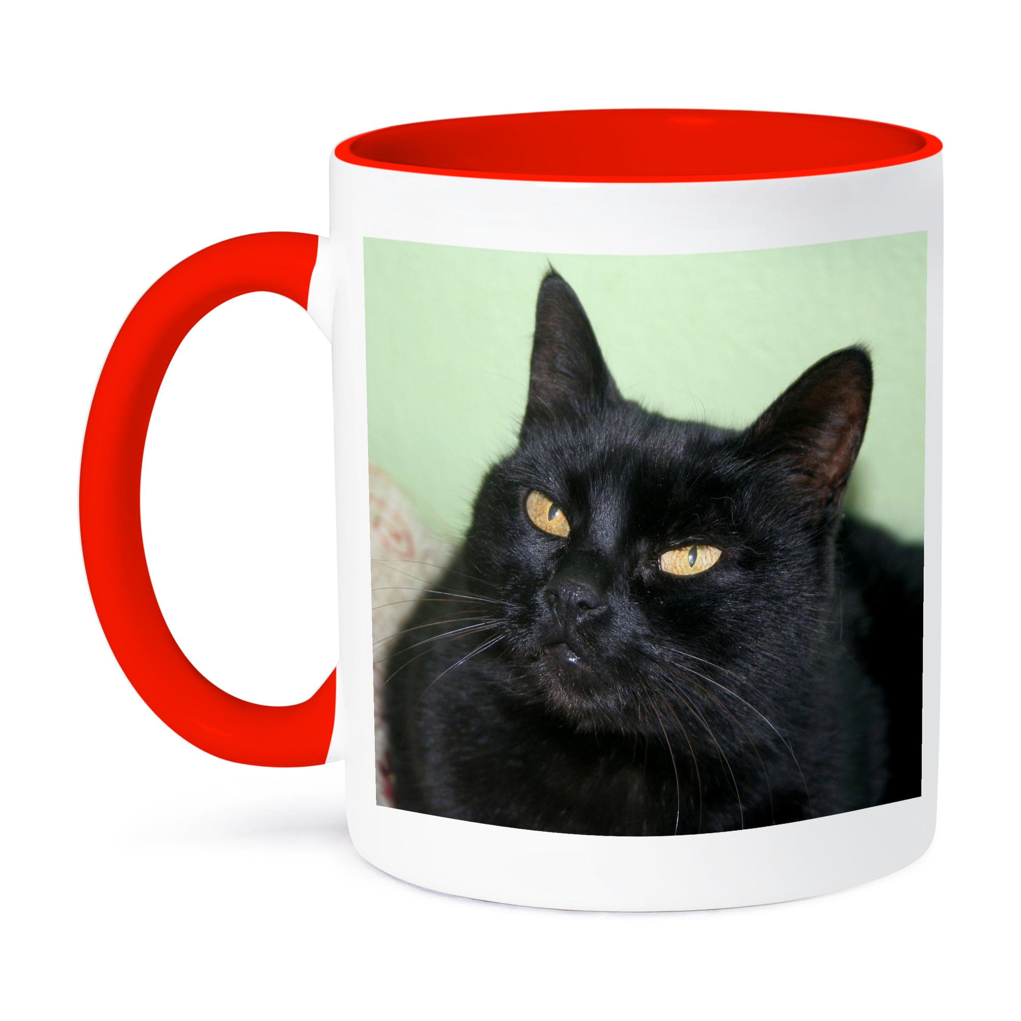 Black Cat Portrait A Black Cat Posing Against A Green Wall With Striking Yellow Eyes, 11oz Two ...