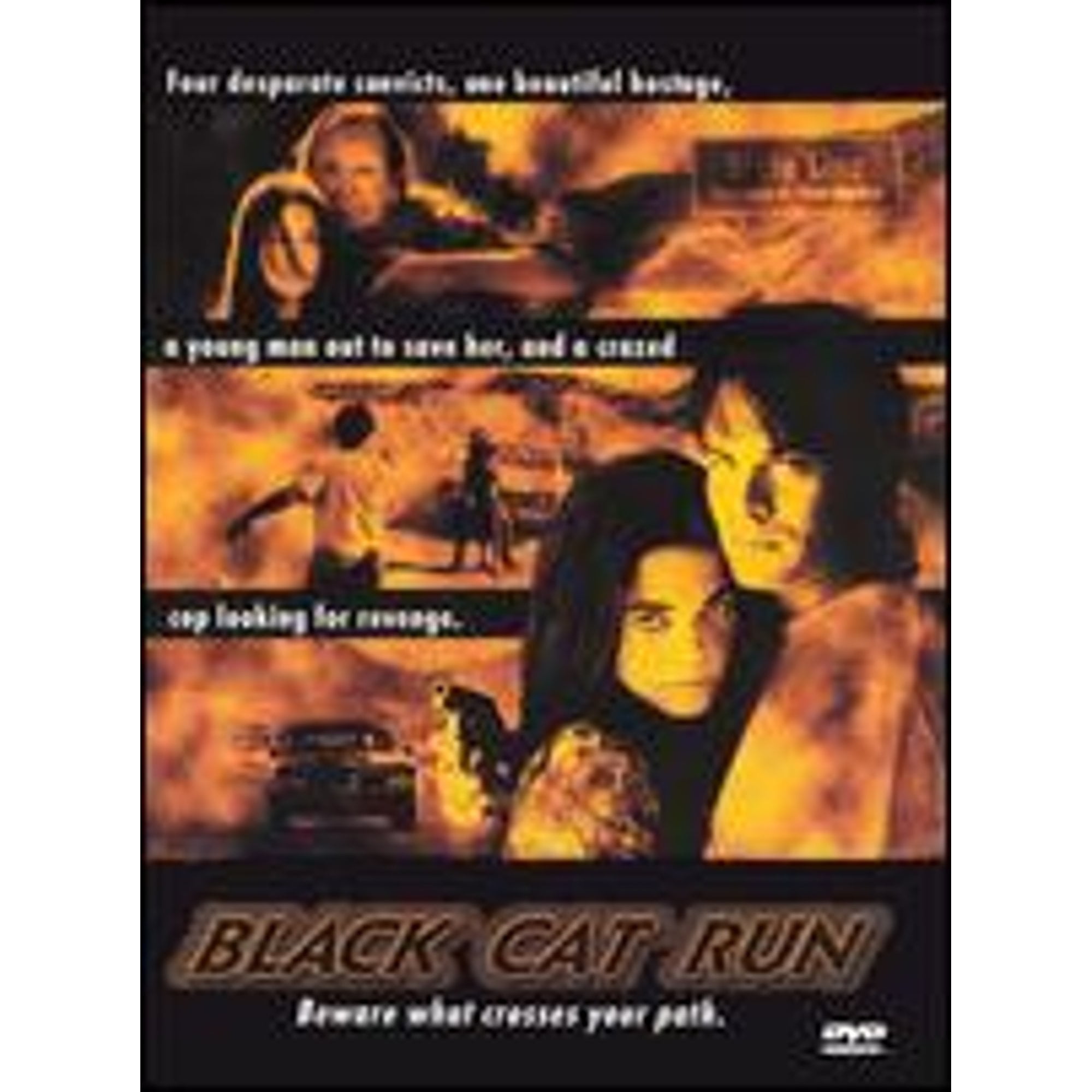 Pre-Owned Black Cat Run (DVD 0026359148125) directed by D.J. Caruso ...
