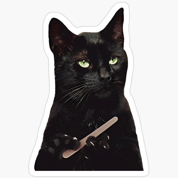 Black Cat Sticker Phone Decal Water Bottle Stickers Car Decals, Laptop ...