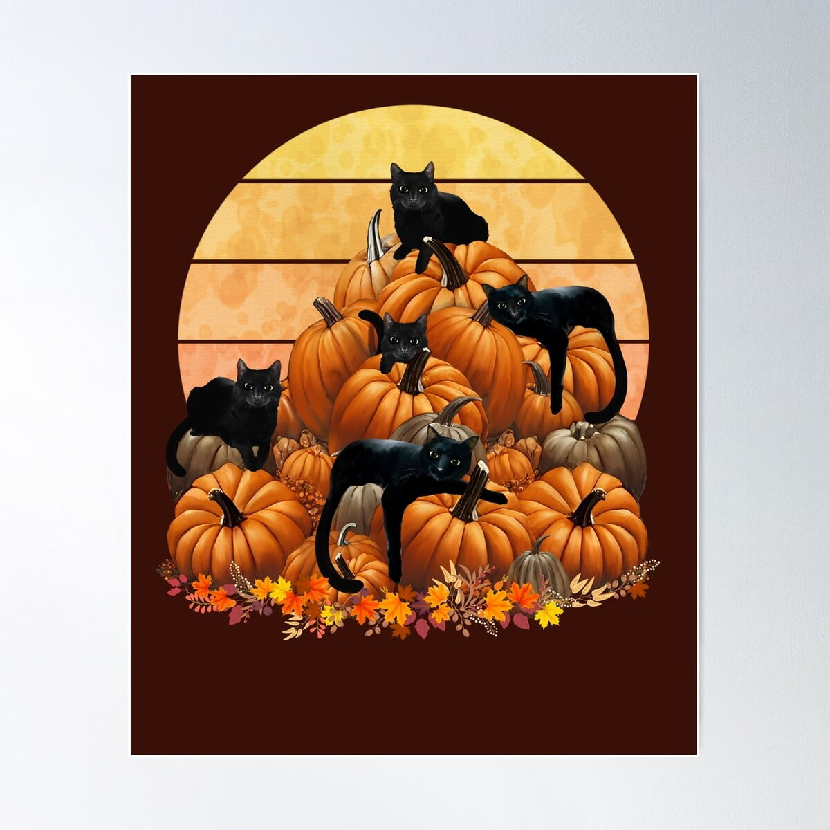 Black Cats In The Pumpkin Patch Autumn With Pumpkins And Sunset, Color Autumn, Orange,Hello Fall ...