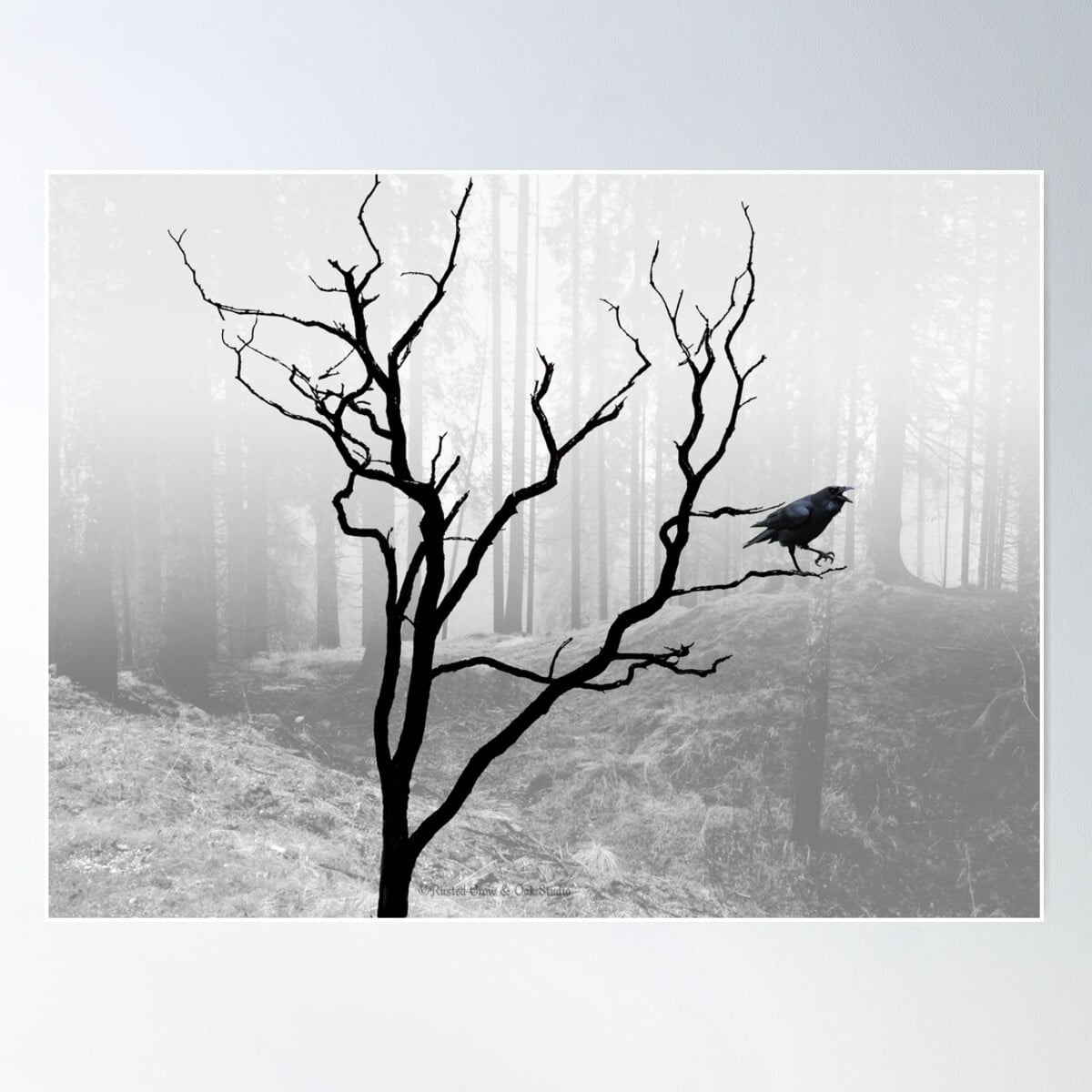 Black Crow In Foggy Forest A118 Poster Wall Art Modern Wall Decor For ...