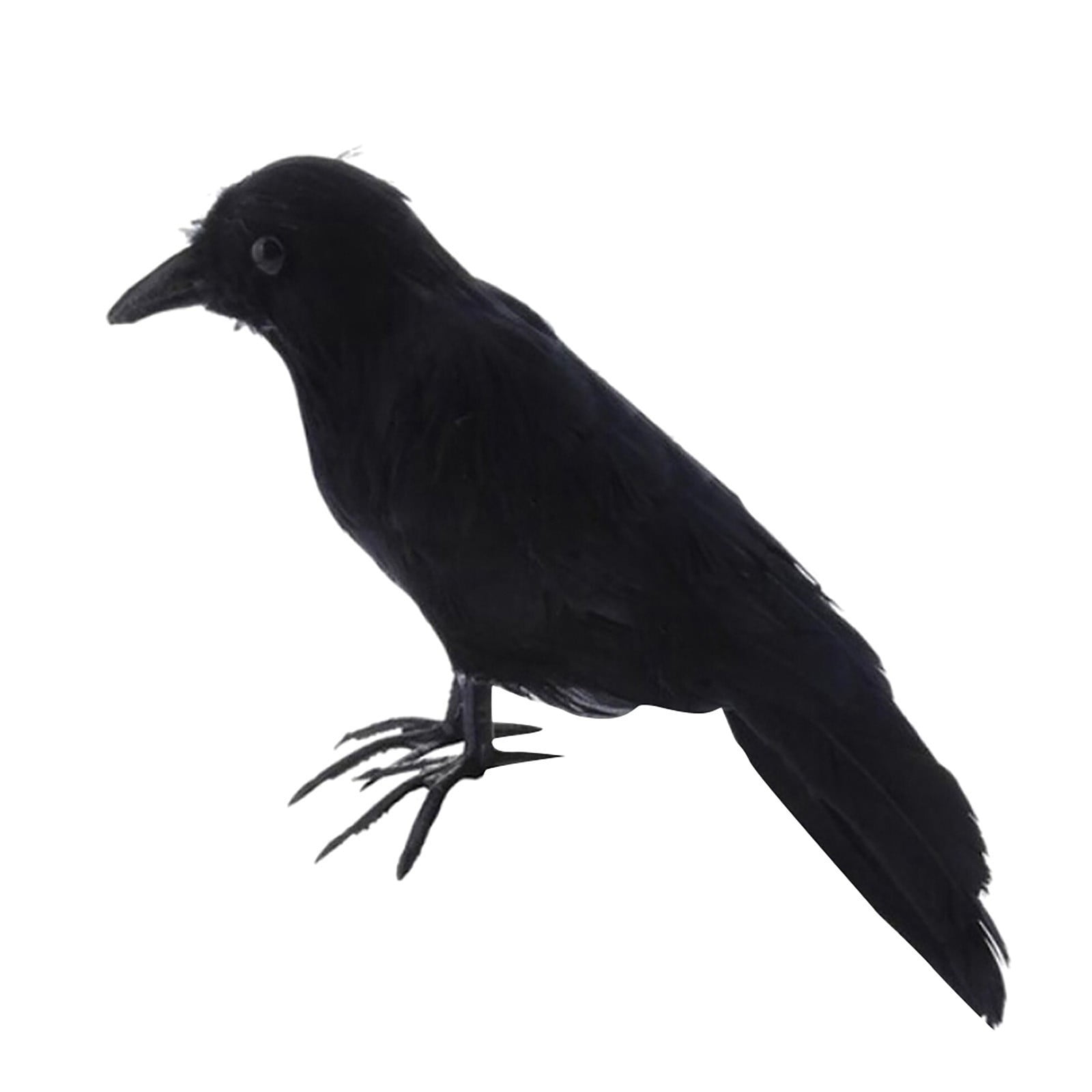 Black Crow Prop | Fake Crow | Realistic Crows Prop | Gothic Feathered ...