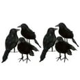 Halloween Black Crow Props: Realistic Raven Feathered Crows Decor, Fake ...