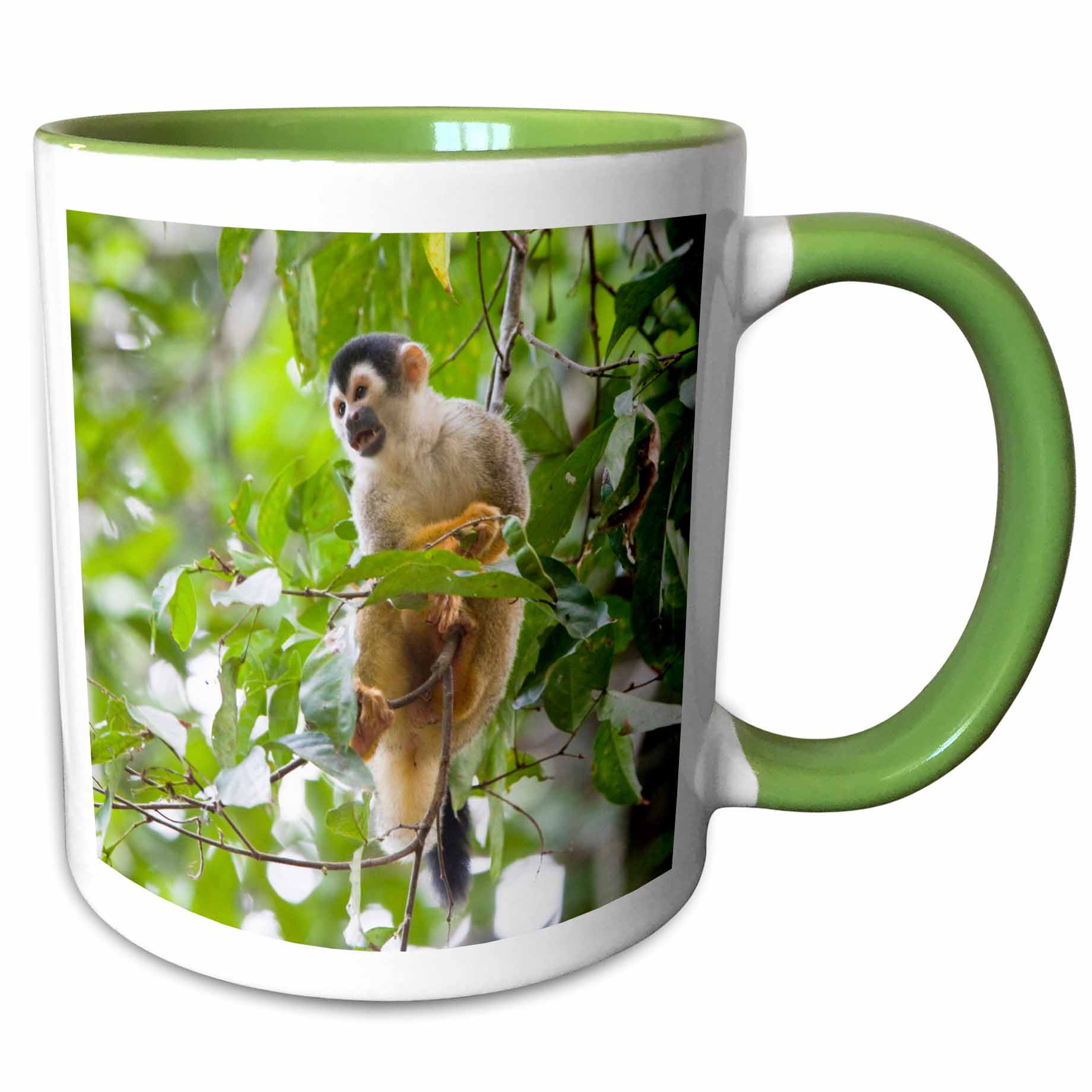 3drose, Black-crowned Squirrel Monkey, Corcovado Costa Rica - Sa22 ...