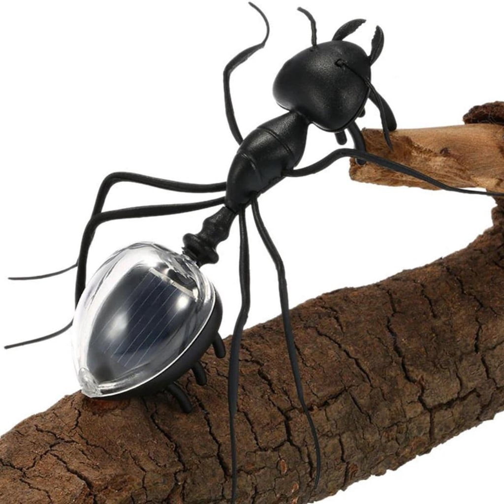 Black Cute Novelty Ant Insect Solar Powered Toy Magic Kids Educational ...