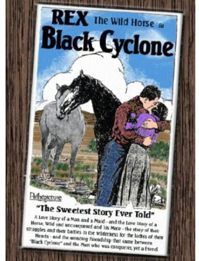 Black Cyclone (DVD), Grapevine Video, Drama - Walmart.com