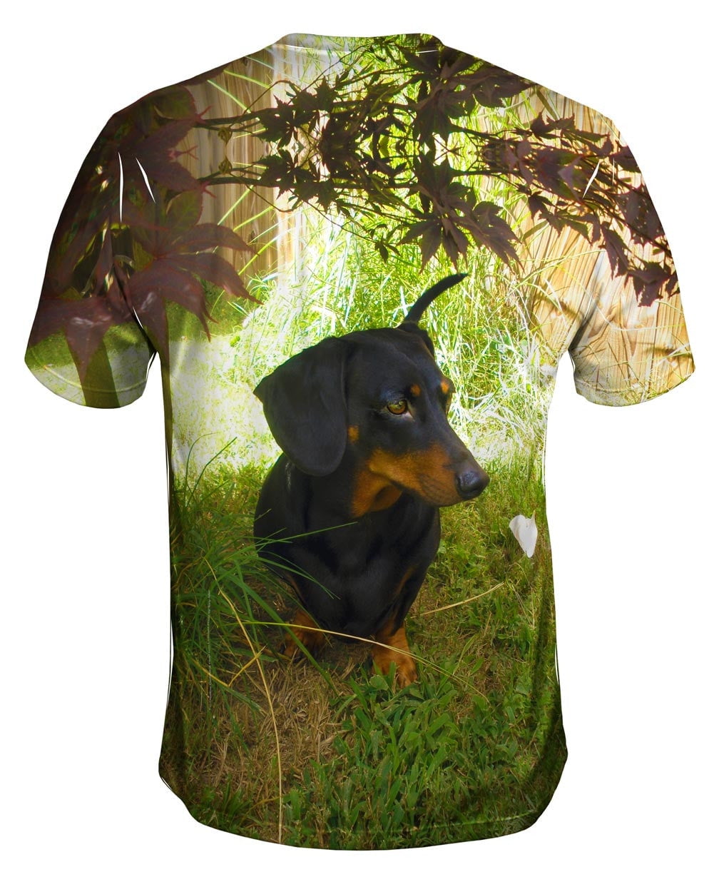 Black Dachshund Backyard Mens T-Shirt All Over Print - Walmart.com