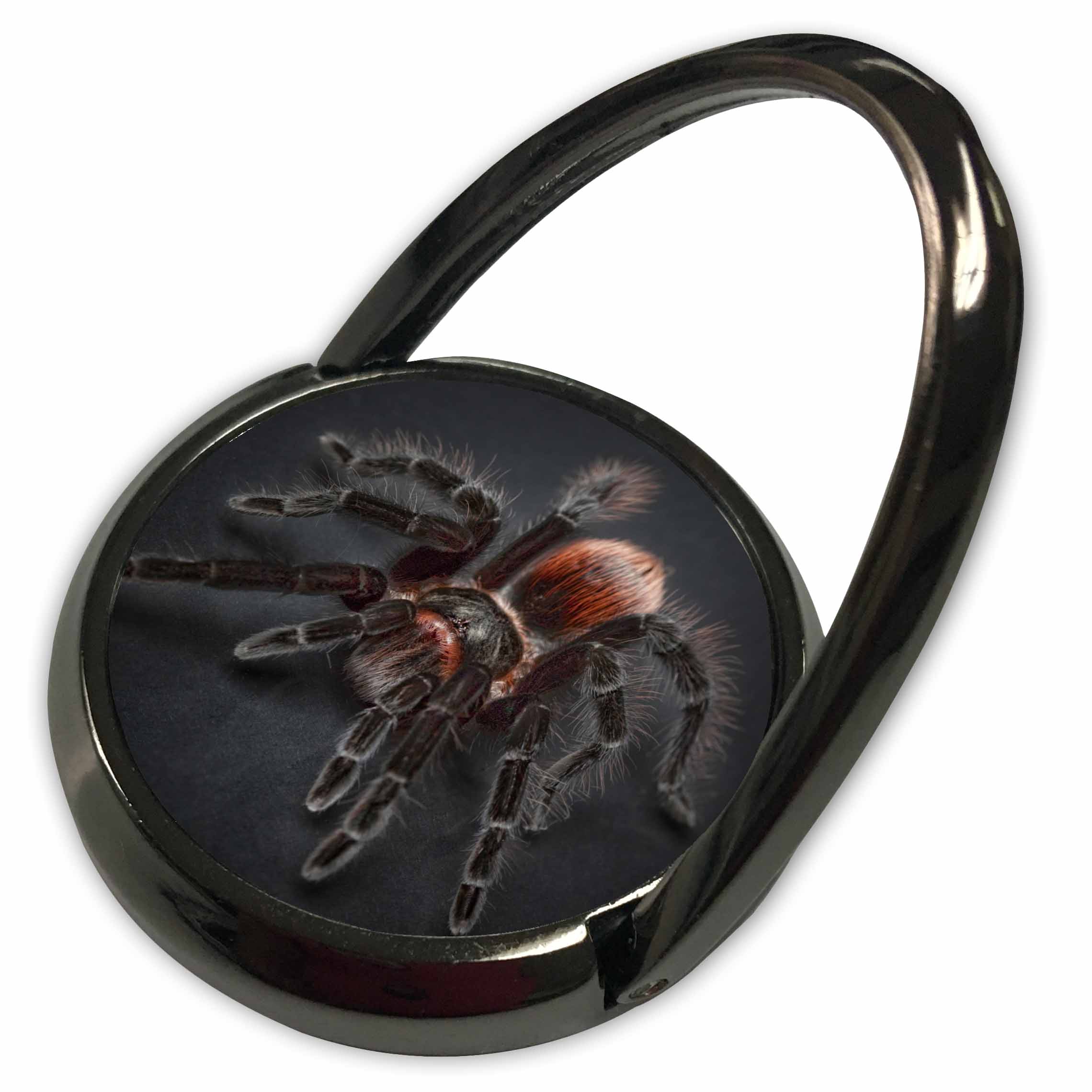 3dRose, Black Dangerous Tarantula Spider Arachnid, Phone Ring - Walmart.com