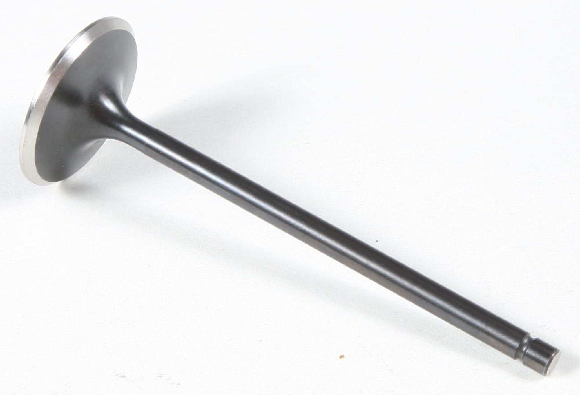 Black Diamond Intake Valve - Walmart.com