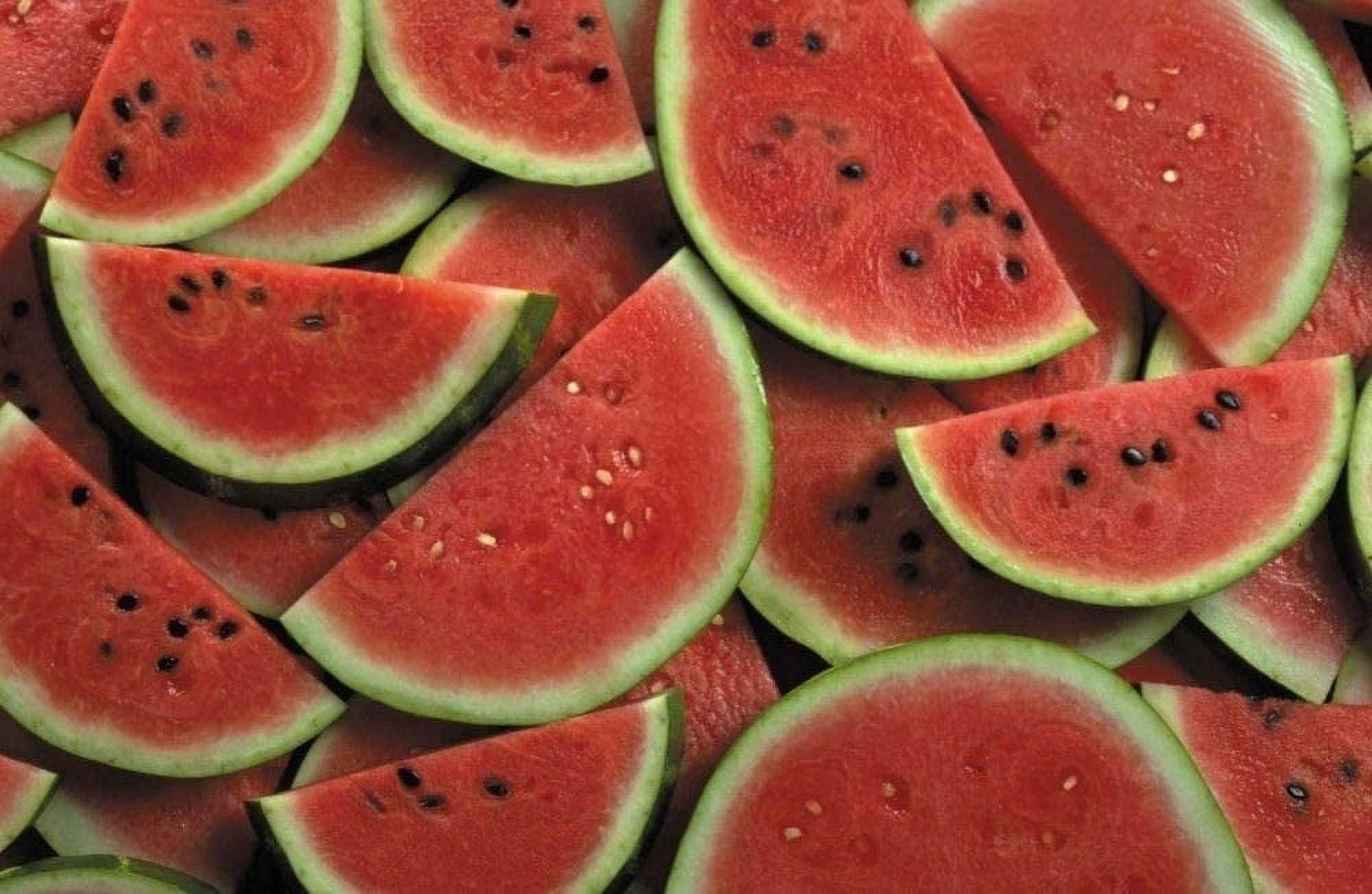 Black Diamond Watermelon Seeds | 50 Seeds | A Summer Favorite | Fruit ...