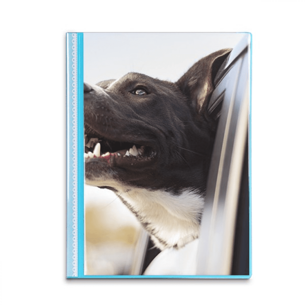 Black Dog Animal Photograph Picture Book Sheet Protectors Portfolio ...