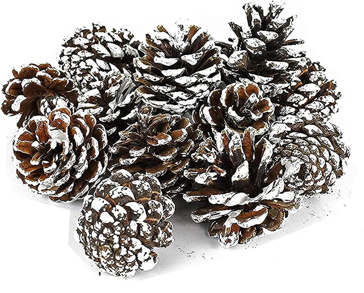 Black Duck Brand Assorted Pinecone Christmas Table Scatter! Glitter ...