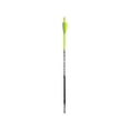 Black Eagle Arrows Talon Carbon Arrows 350 .003" 6PK - Walmart.com