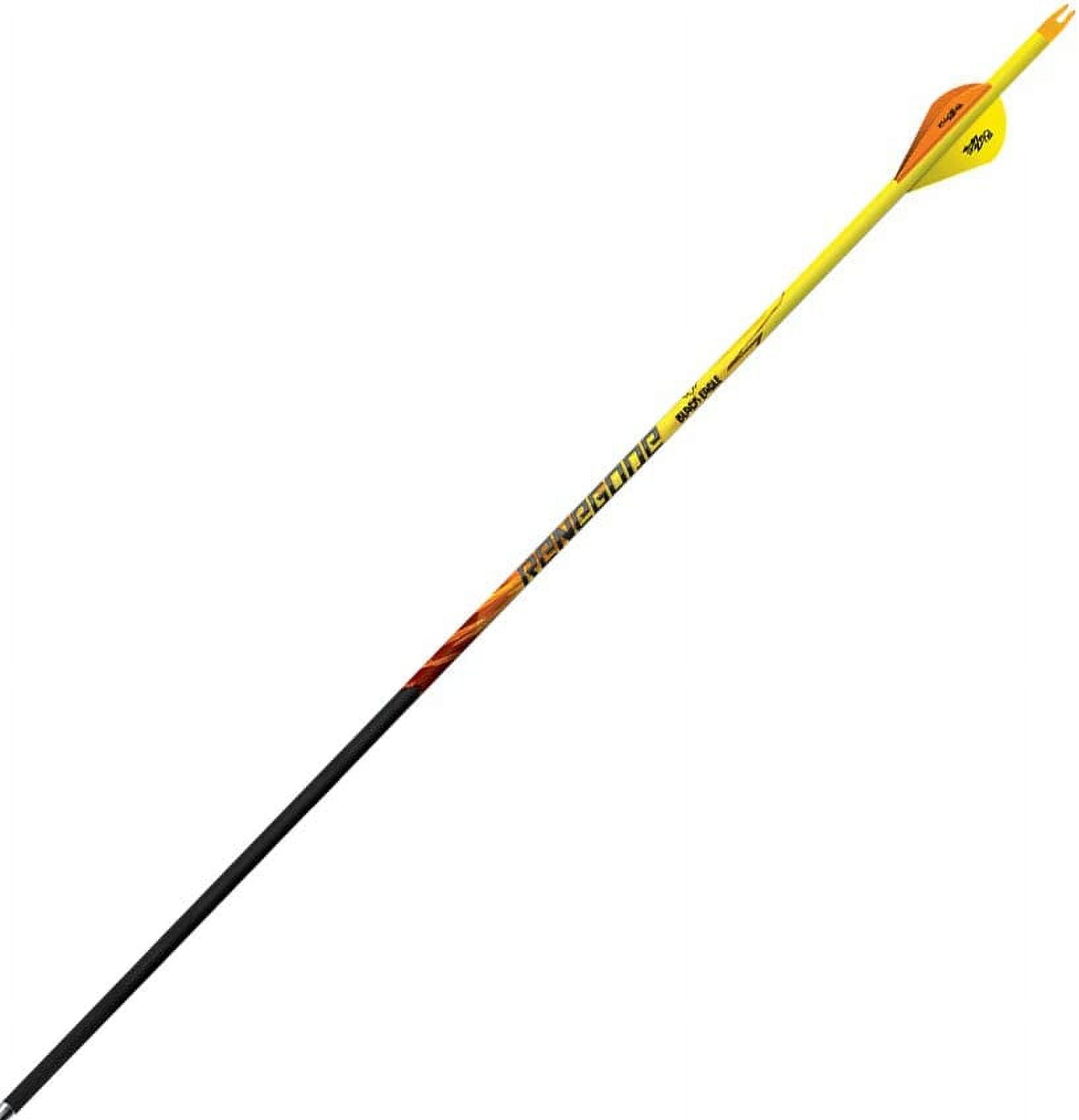 Black Eagle Renegade Fletched Arrows - 6-Pack-250 Spine-.005 ...