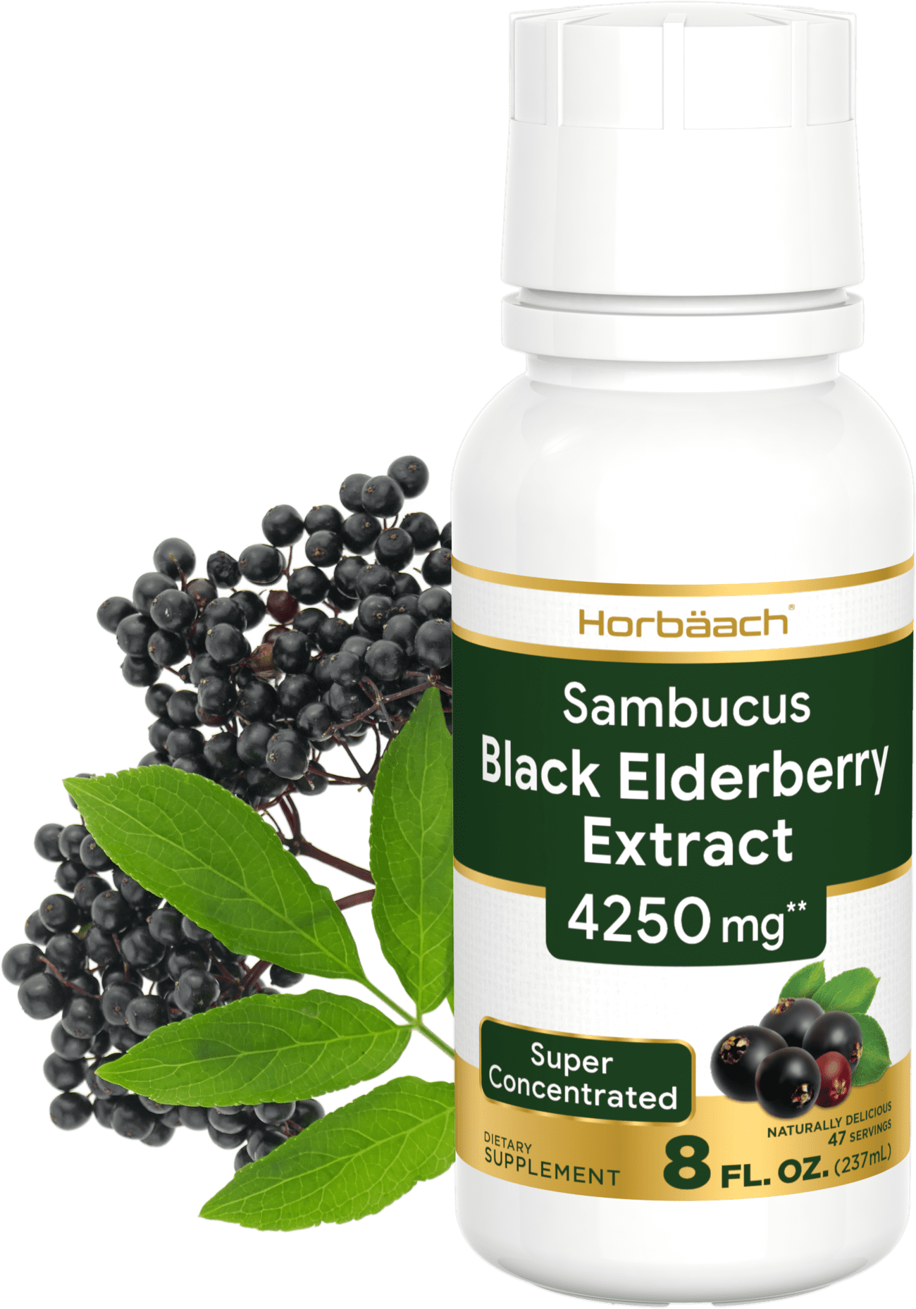 Black Elderberry Syrup 4250mg | 8 oz | Super Concentrated | Sambucus ...