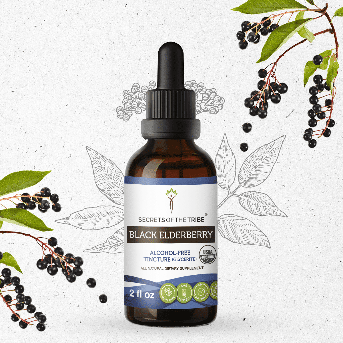 Black Elderberry Tincture Alcohol-FREE Extract, Organic Black ...