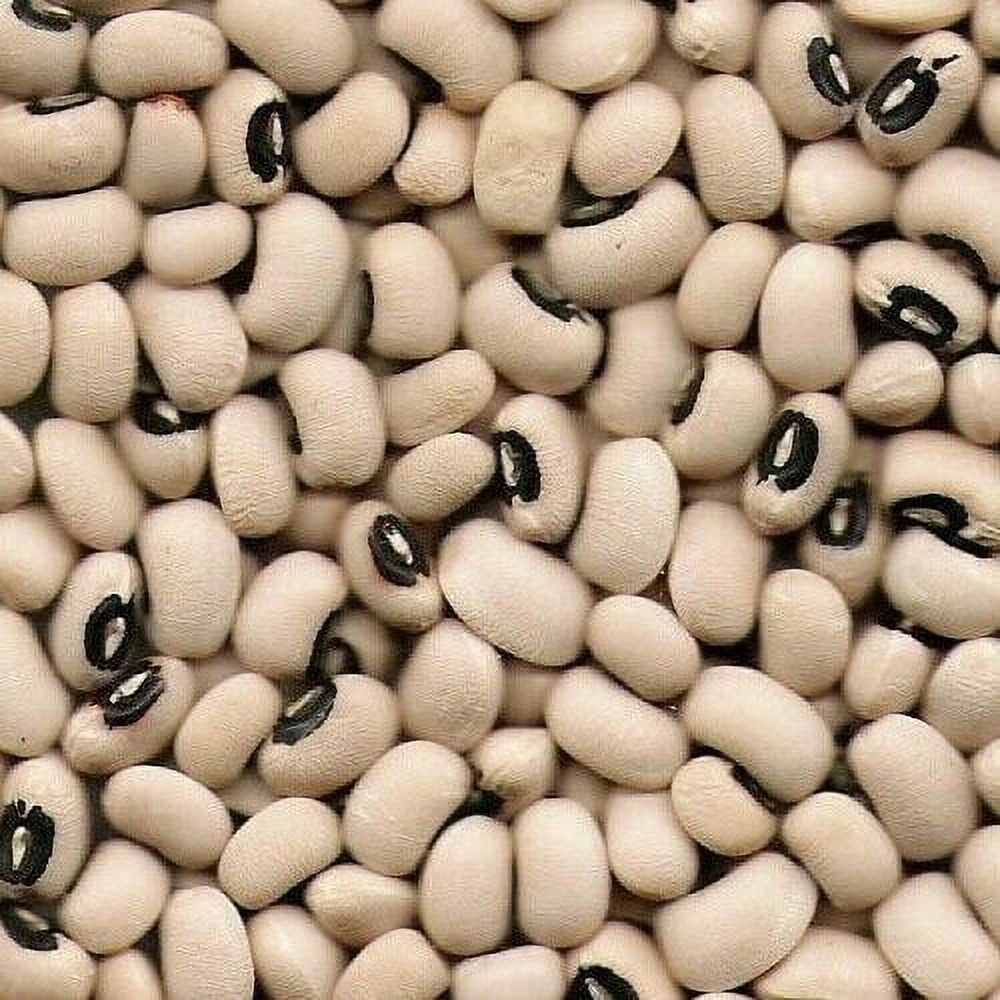 Black Eyed Peas Bean 1 LB - Walmart.com