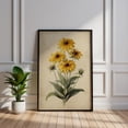 Black Eyed Susan Botanical Yellow Flower Poster Unframed Paper Print ...