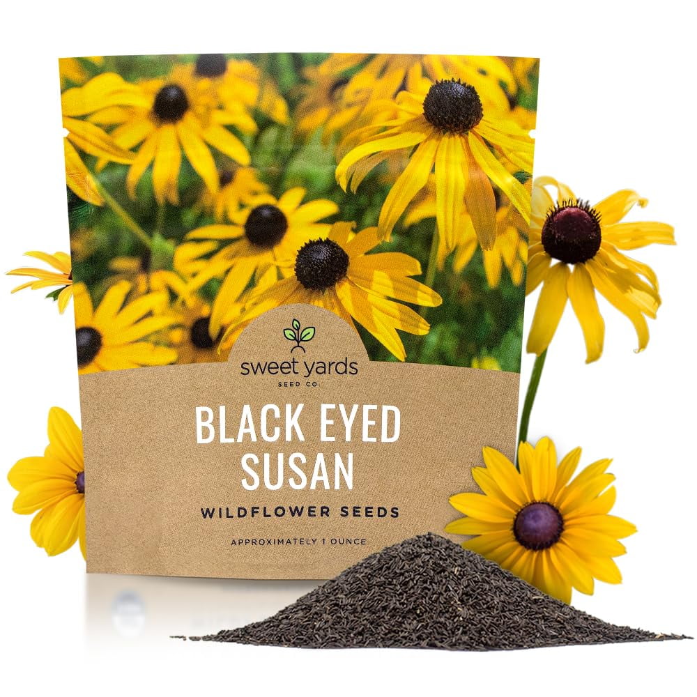 Black Eyed Susan Seeds - Extra MVR1 Large Packet - Over 100,000 Open ...
