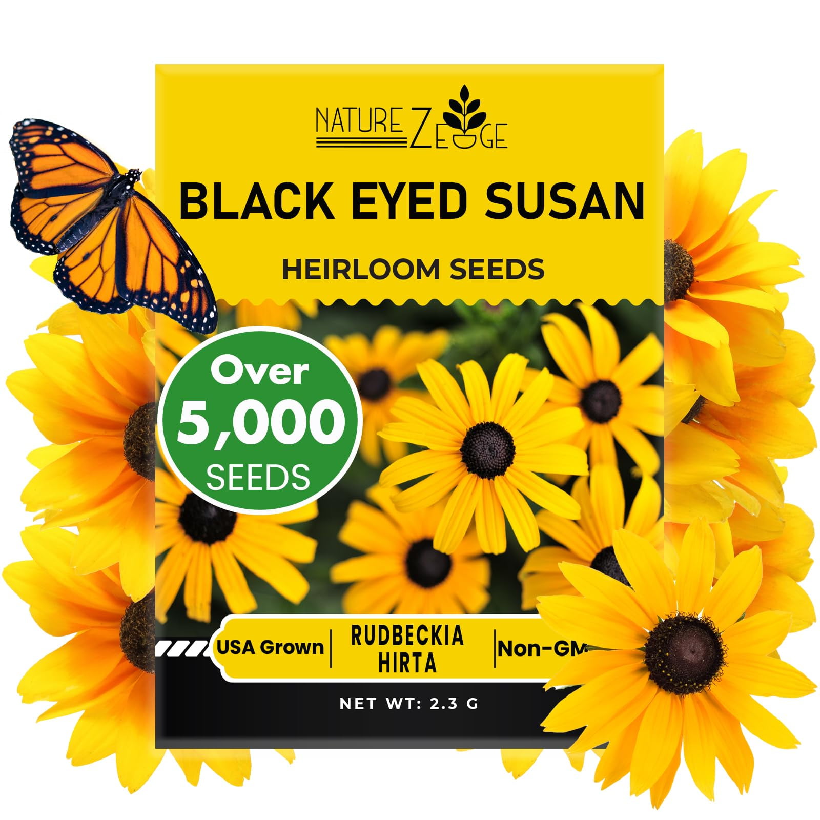 Black Eyed Susan TWE5 Seeds for Planting, 5000 Seeds, Giving You ...